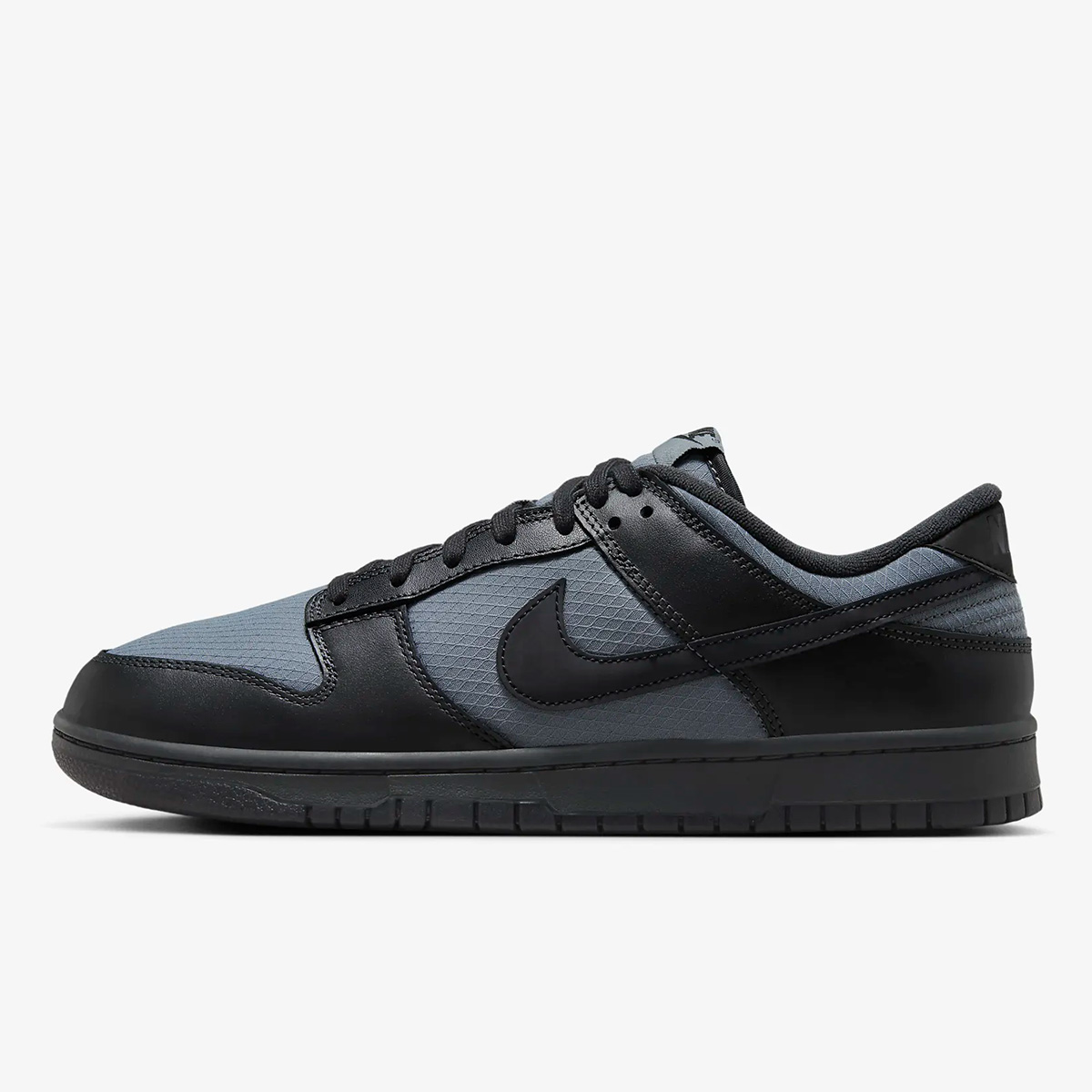 Nike NIKE DUNK LOW RETRO SE WNTR | Buzz - Online shop