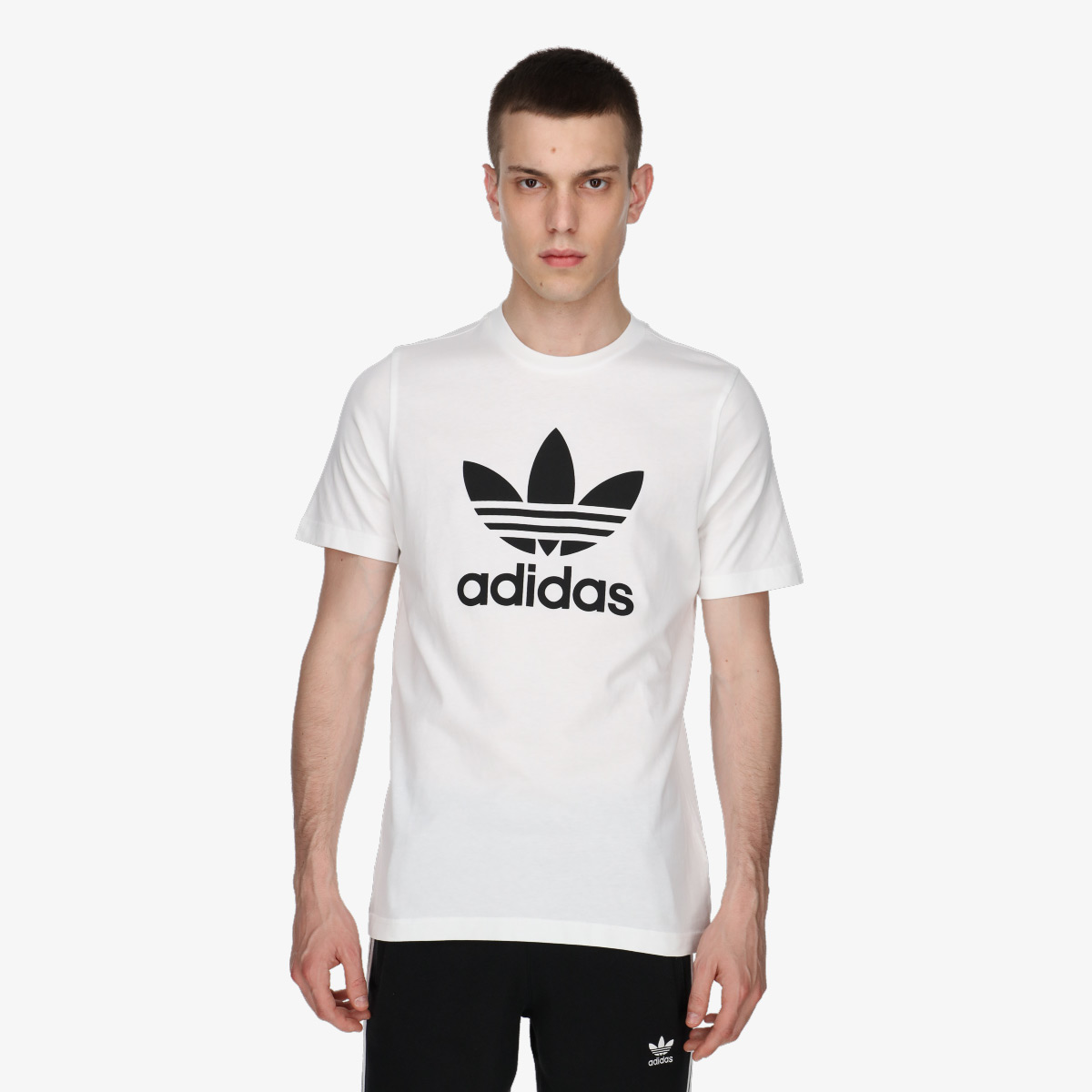 adidas TREFOIL T-SHIRT | Buzz - Online shop